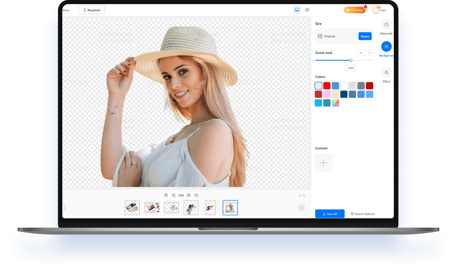 PicWish Pro Desktop Photo Editor For Windows And Mac
